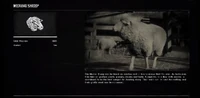 Sheep (RDR 2) | Red Dead Wiki | Fandom