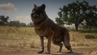 Legendary Emerald Wolf | Red Dead Wiki | Fandom