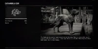 Dog (RDR2) | Red Dead Wiki | Fandom
