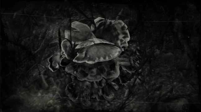 Ram's Head | Red Dead Wiki | Fandom