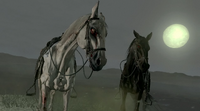 Famine | Red Dead Wiki | Fandom