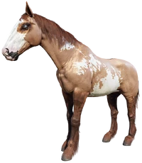 Mustang | Red Dead Wiki | Fandom