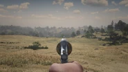 Algernon's Revolver | Red Dead Wiki | Fandom