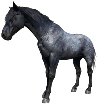 Nokota | Red Dead Wiki | Fandom