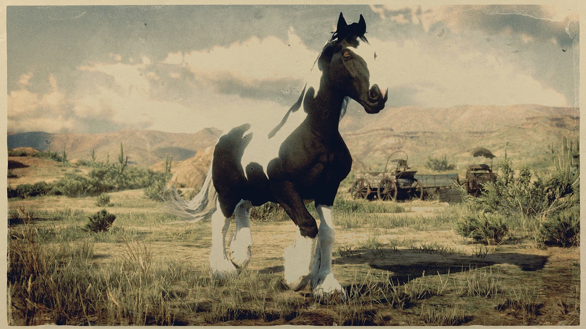 Gypsy Cob | Red Dead Wiki | Fandom