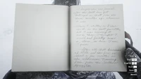 Journal (RDR 2) | Red Dead Wiki | Fandom