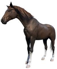 Morgan | Red Dead Wiki | Fandom