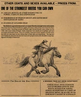 Breton | Red Dead Wiki | Fandom
