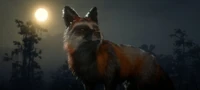 Legendary Cross Fox | Red Dead Wiki | Fandom