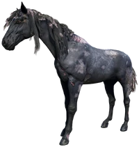 Nokota | Red Dead Wiki | Fandom