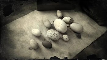 Bird Eggs | Red Dead Wiki | Fandom