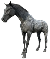 Arabian | Red Dead Wiki | Fandom