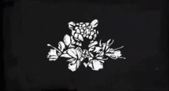 Desert Sage | Red Dead Wiki | Fandom