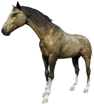 Turkoman | Red Dead Wiki | Fandom