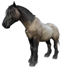 Breton | Red Dead Wiki | Fandom