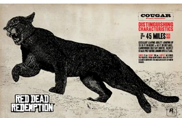 Posse:Cochinay Cougars | Red Dead Wiki | Fandom