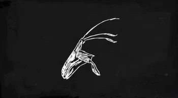 Hummingbird Sage (RDR 2) | Red Dead Wiki | Fandom