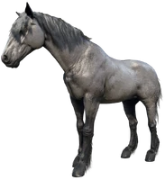 Mustang | Red Dead Wiki | Fandom
