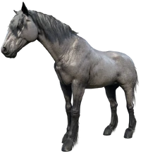 Mustang | Red Dead Wiki | Fandom