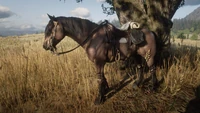 Mustang | Red Dead Wiki | Fandom