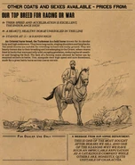 Turkoman | Red Dead Wiki | Fandom