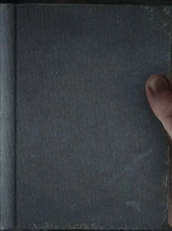 Ledger | Red Dead Wiki | Fandom