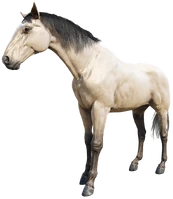 Kentucky Saddler (RDR 2) | Red Dead Wiki | Fandom