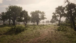 Clemens Point | Red Dead Wiki | Fandom