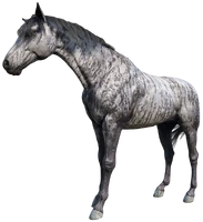 Thoroughbred | Red Dead Wiki | Fandom