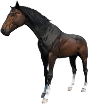 Turkoman | Red Dead Wiki | Fandom