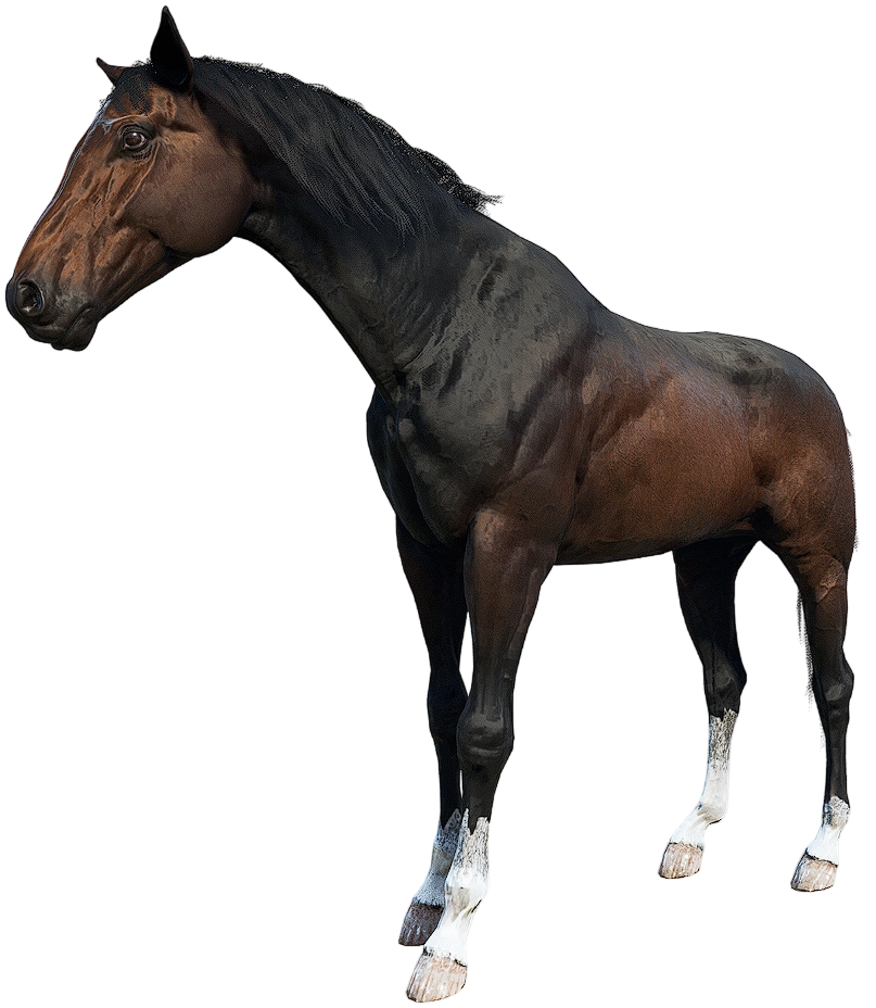 Turkoman | Red Dead Wiki | Fandom