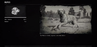 Dog (RDR2) | Red Dead Wiki | Fandom