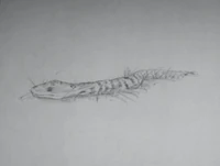 Snake (RDR 2) | Red Dead Wiki | Fandom