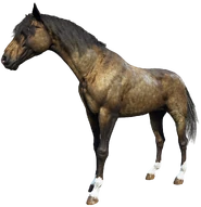 Turkoman | Red Dead Wiki | Fandom