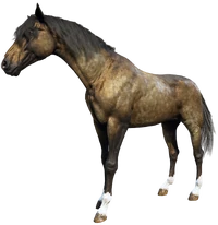 Sadie Adler | Red Dead Wiki | Fandom