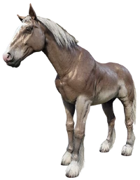 Belgian Draft Horse | Red Dead Wiki | Fandom