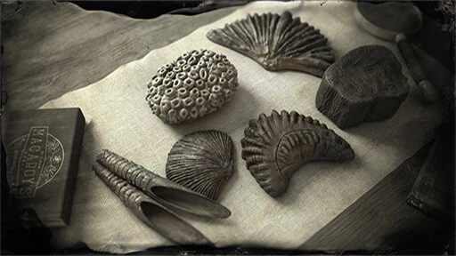 Coastal Fossils | Red Dead Wiki | Fandom