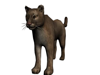 Cougar | Red Dead Wiki | Fandom