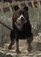 Dog | Red Dead Wiki | Fandom