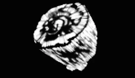 Cobalt Petrified Wood | Red Dead Wiki | Fandom