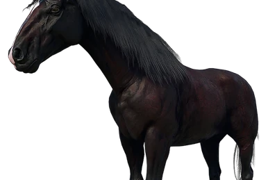 black shire horse rdr2