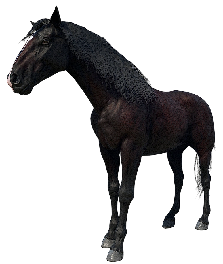 Cherry Bay Horse