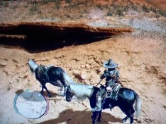 War Horse | Red Dead Redemption Wiki | Fandom