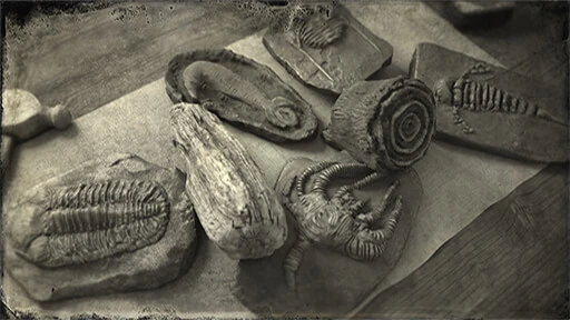 Oceanic Fossils | Red Dead Wiki | Fandom