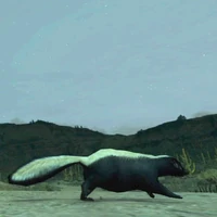 Skunk | Red Dead Wiki | Fandom