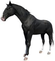 Kentucky Saddler (RDR 2) | Red Dead Wiki | Fandom