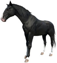 Kentucky Saddler (RDR 2) | Red Dead Wiki | Fandom