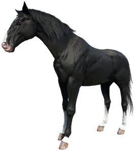 Kentucky Saddler (RDR 2) | Red Dead Wiki | Fandom