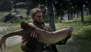Muskie | Red Dead Wiki | Fandom