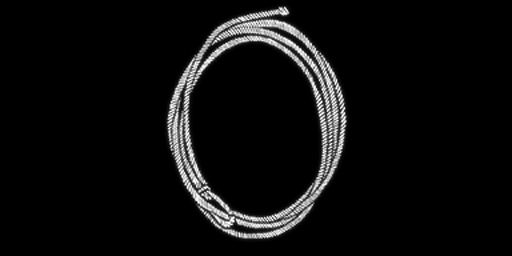 Reinforced Lasso Red Dead Wiki Fandom